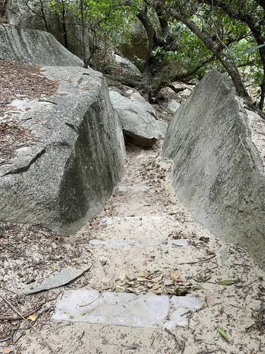 Best Hikes and Trails in Cooktown Botanic Garden | AllTrails