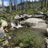 Kibbie Lake Trail, California - 148 Reviews, Map | AllTrails