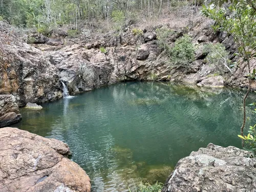 Best Hikes and Trails in Mount Mee State Forest | AllTrails