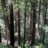 Bootjack Loop, California - 1,611 Reviews, Map | AllTrails