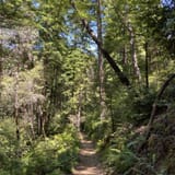Bootjack Loop, California - 1,611 Reviews, Map | AllTrails