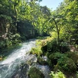 Greer Spring Trail, Missouri - 338 Reviews, Map | AllTrails