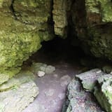 Greer Spring Trail, Missouri - 338 Reviews, Map | AllTrails