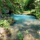 Greer Spring Trail, Missouri - 338 Reviews, Map | AllTrails