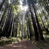 Rohner Park Loop, California - 217 Reviews, Map | AllTrails