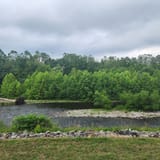 Levee Loop, Pennsylvania - 272 Reviews, Map | AllTrails