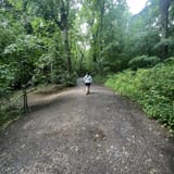 Worsley Circular, Greater Manchester, England - 45 Reviews, Map | AllTrails