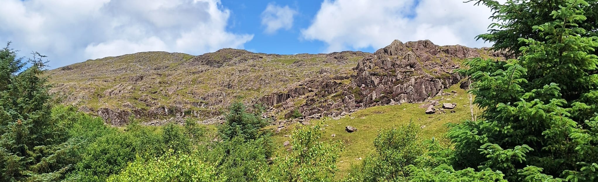 Rhobell Fawr, Gwynedd, Wales - 11 Reviews, Map | AllTrails