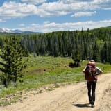 Kelly Lake Trail, Colorado - 85 Reviews, Map | AllTrails