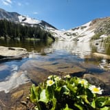 Kelly Lake Trail, Colorado - 105 Reviews, Map | AllTrails