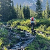 Kelly Lake Trail, Colorado - 85 Reviews, Map | AllTrails