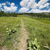 Kelly Lake Trail, Colorado - 91 Reviews, Map | AllTrails