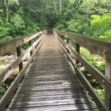 Franconia Brook Trail, New Hampshire - 323 Reviews, Map | AllTrails
