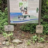 Angelito Trail, East Region, Puerto Rico - 521 Reviews, Map | AllTrails