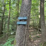 Great Range Loop Trail, New York - 369 Reviews, Map | AllTrails