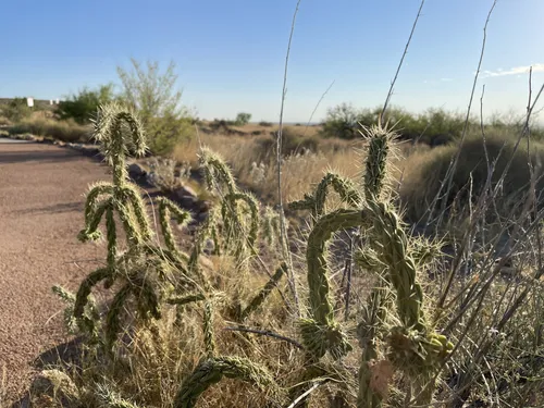 Best Hikes and Trails in Castner Range National Monument | AllTrails