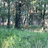 Sequoyah State Park Paved Trail, Oklahoma - 198 Reviews, Map | AllTrails