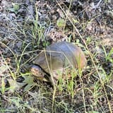 Sequoyah State Park Paved Trail, Oklahoma - 198 Reviews, Map | AllTrails