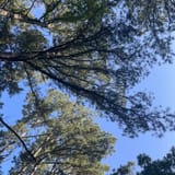 Sequoyah State Park Paved Trail, Oklahoma - 198 Reviews, Map | AllTrails