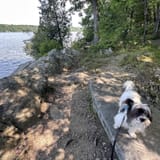 Norrie Point Trail, New York - 754 Reviews, Map | AllTrails