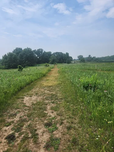 Best Hikes and Trails in Richard Bong State Recreation Area | AllTrails