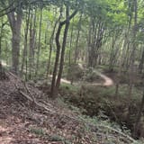 Mazeppa Park Trail, North Carolina - 419 Reviews, Map | AllTrails