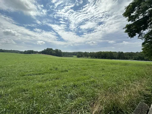 Best Hikes and Trails in Lorimer Park | AllTrails