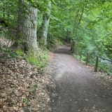 Lorimer Park Loop, Pennsylvania - 967 Reviews, Map | AllTrails