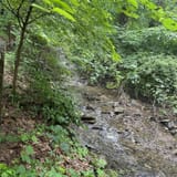 Lorimer Park Loop, Pennsylvania - 967 Reviews, Map | AllTrails