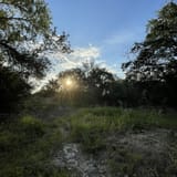 Cibolo Creek Main Trail, Texas - 578 Reviews, Map | AllTrails
