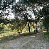 Cibolo Creek Main Trail, Texas - 659 Reviews, Map | AllTrails