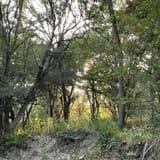Cibolo Creek Main Trail, Texas - 578 Reviews, Map | AllTrails