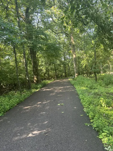 10 Best Walking Trails in St. Louis | AllTrails