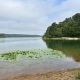 Cliff Pond Trail, Massachusetts - 1,373 Reviews, Map | AllTrails