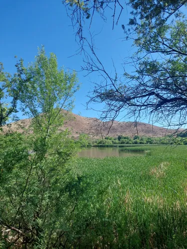 Best Hikes and Trails in Patagonia Lake State Park | AllTrails