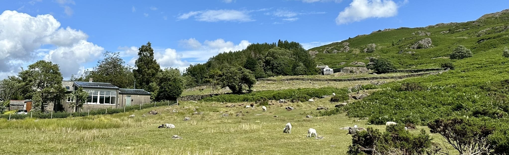 Newfield Wood and Stephenson Ground Farm Circular: 6 Reviews, Map ...