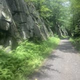 Northern Rail Trail, New Hampshire - 505 Reviews, Map | AllTrails