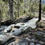Barney Lake, California - 494 Reviews, Map | AllTrails