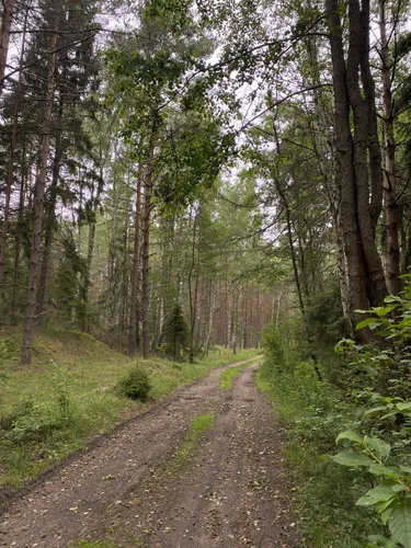 Best Hikes and Trails in Pape Nature Park | AllTrails