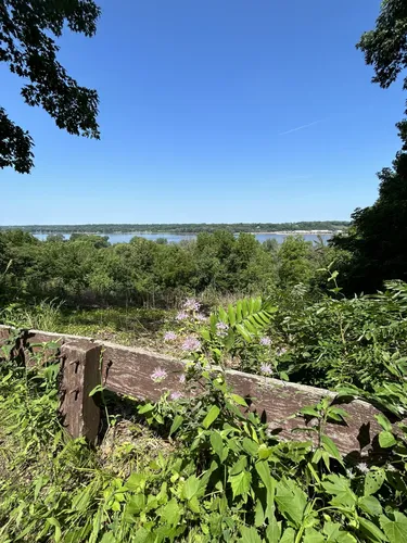 Best Hikes and Trails in Illiniwek Forest Preserve | AllTrails