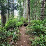 Haslam Lake Trail, British Columbia, Canada - 14 Reviews, Map | AllTrails