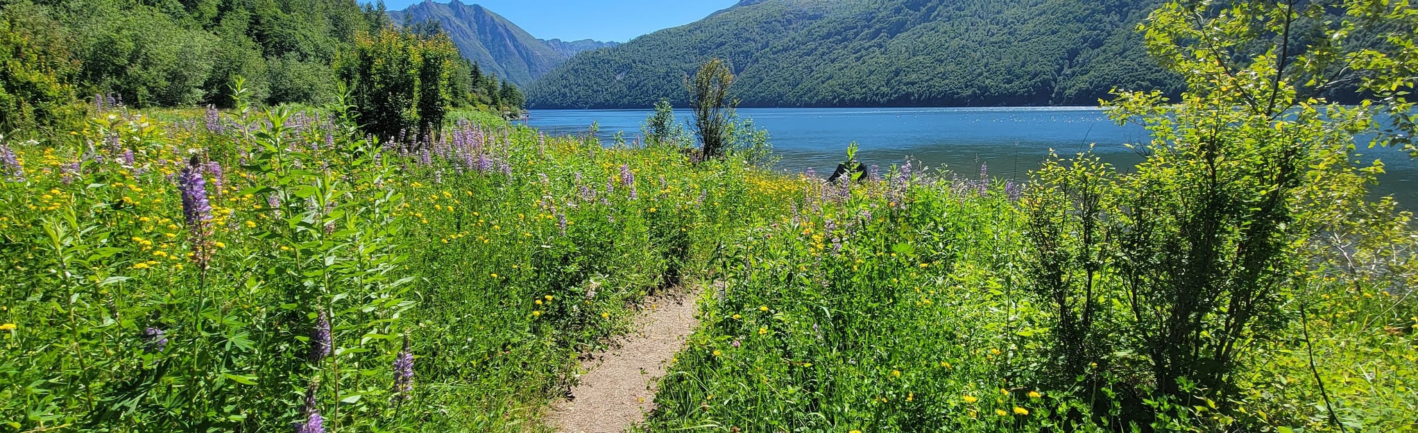Coldwater Lake via Lakes Trail, Washington - 756 Reviews, Map | AllTrails
