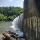 Alberton Road Trail, Maryland - 1,209 Reviews, Map | AllTrails