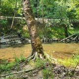 Alberton Road Trail, Maryland - 1,209 Reviews, Map | AllTrails