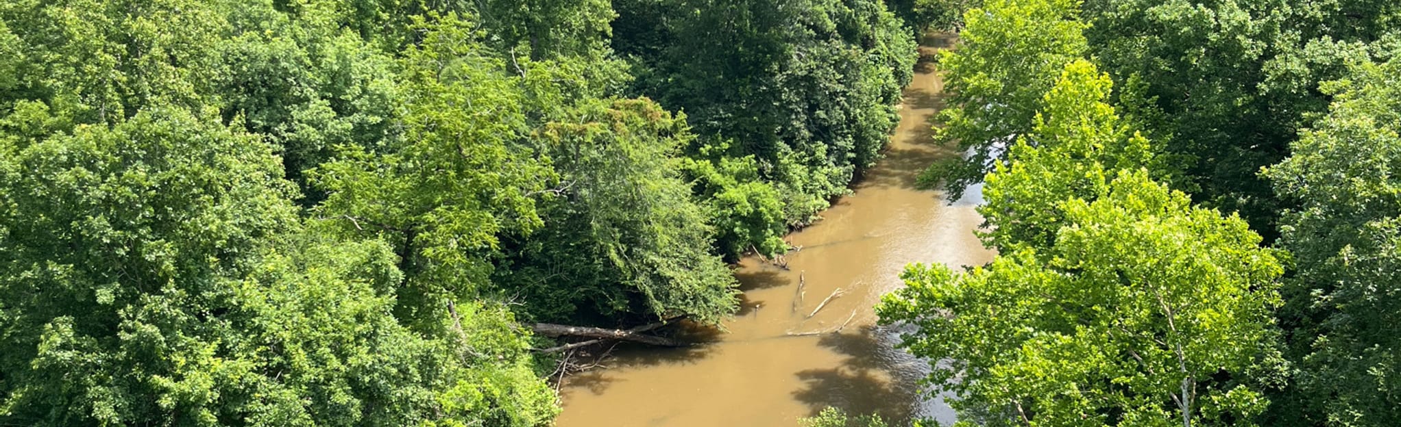High Bridge Trail, Virginia - 101 Reviews, Map | AllTrails