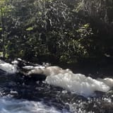 Disappointment Falls via Lady Moon Trail, Colorado - 686 Reviews, Map ...