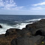 Black Point Trail, Rhode Island - 684 Reviews, Map | AllTrails