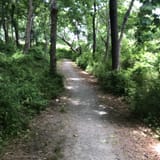 Black Point Trail, Rhode Island - 670 Reviews, Map | AllTrails