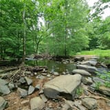 Sugarland Run Trail, Virginia - 483 Reviews, Map | AllTrails