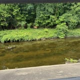 Four Mile Run Trail, Virginia - 425 Reviews, Map | AllTrails